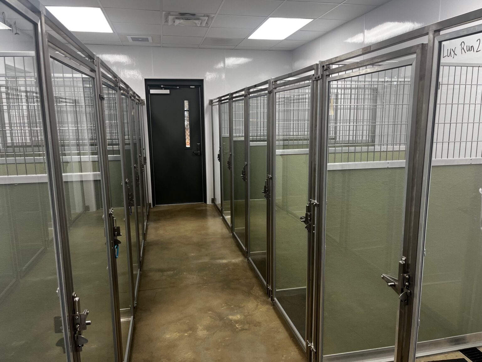 Dog Boarding Clayton Nc