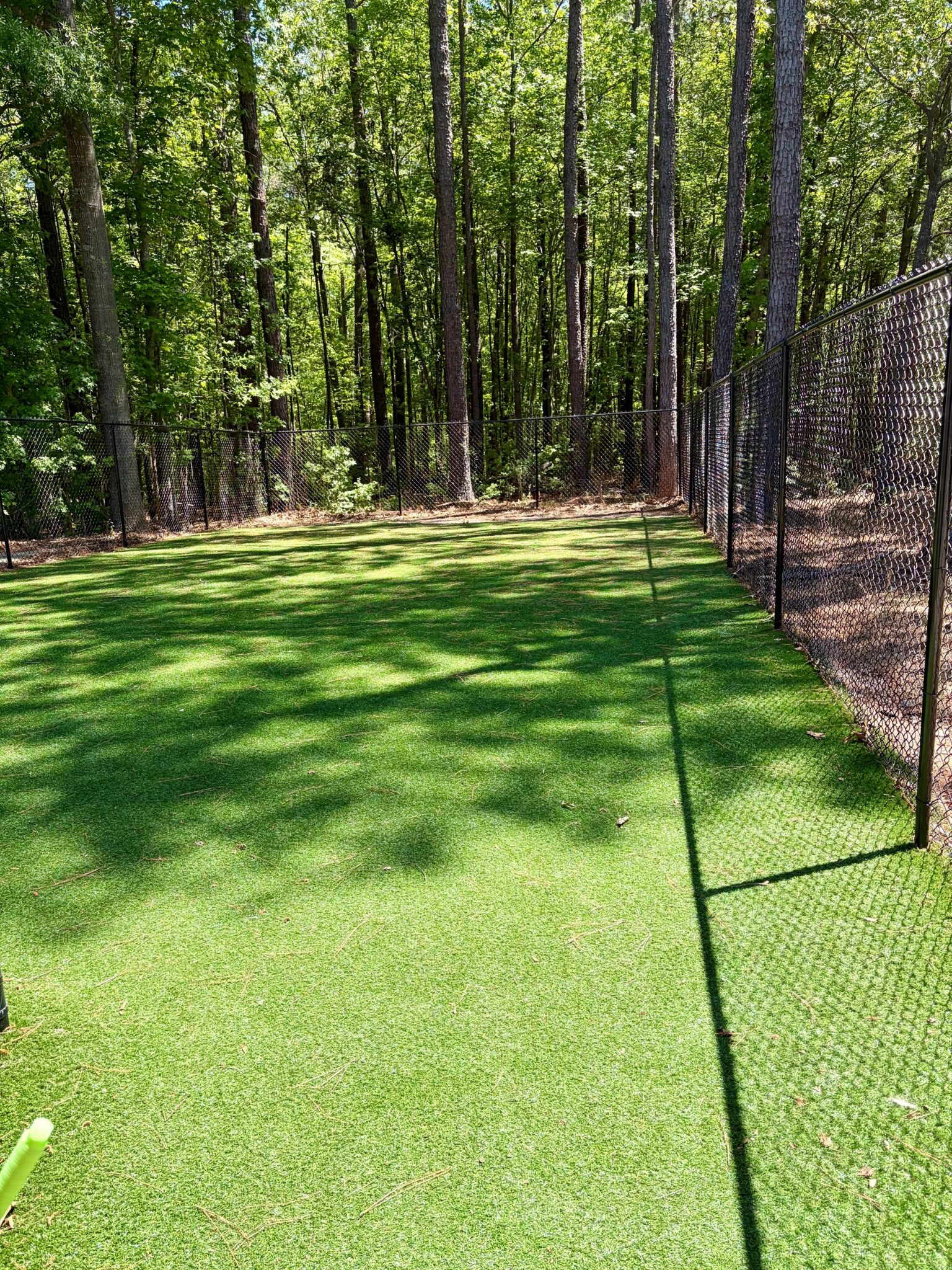 Dog Boarding Clayton Nc